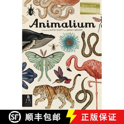 【3-4周达】精装 Animalium: Welcome to the Museum [9780763675080]