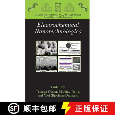 【3-4周达】Electrochemical Nanotechnologies [9781441914231]