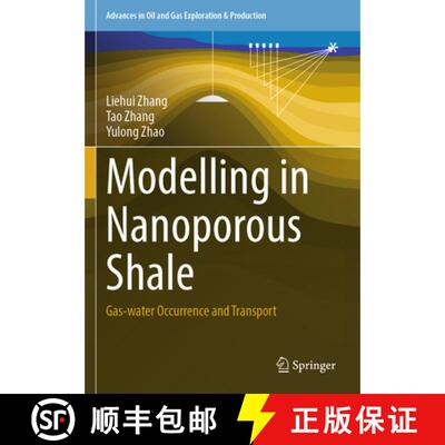 【3-4周达】Modelling in Nanoporous Shale: Gas-water Occurrence and Transport [9783031691447]