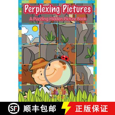 【3-4周达】Perplexing Pictures: A Puzzling Hidden Picture Book [9781683235415]