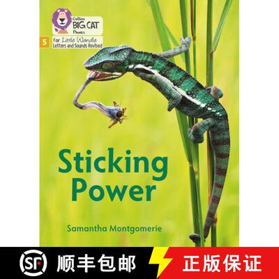 【3-4周达】Big Cat Phonics for Little Wandle Letters and Sounds Revised - Sticking Power: Phase 5 [9780008504632]