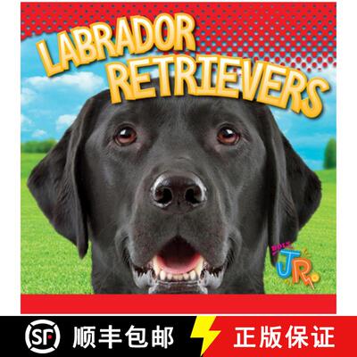 【3-4周达】Labrador Retrievers [9781623104702]