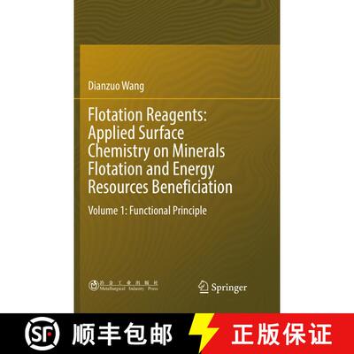 【3-4周达】Flotation Reagents: Applied Surface Chemistry on Minerals Flotation and Energy Resources B... [9789811095085]
