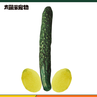 大菠萝英国rosewood黄瓜猫咪玩具