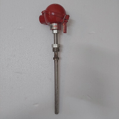 NEW CMA RTD Type PT100 Temperature Sensor 600oC NETHERLANDS