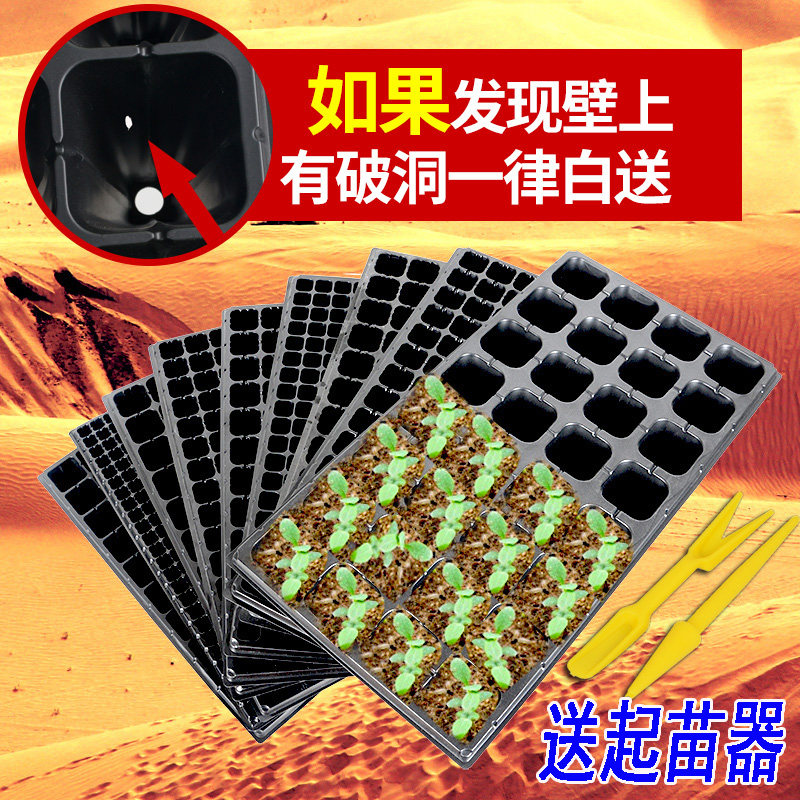 加厚深穴盘育苗盘育苗盒器苗木多肉育苗箱育苗盆托盘营养钵育苗杯
