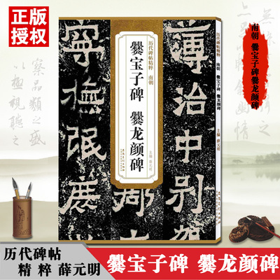 正版历代碑帖精粹南朝爨宝子碑爨龙颜碑简体旁注附技法解析第三辑碑帖毛笔隶书书法练安徽美术出版社字帖