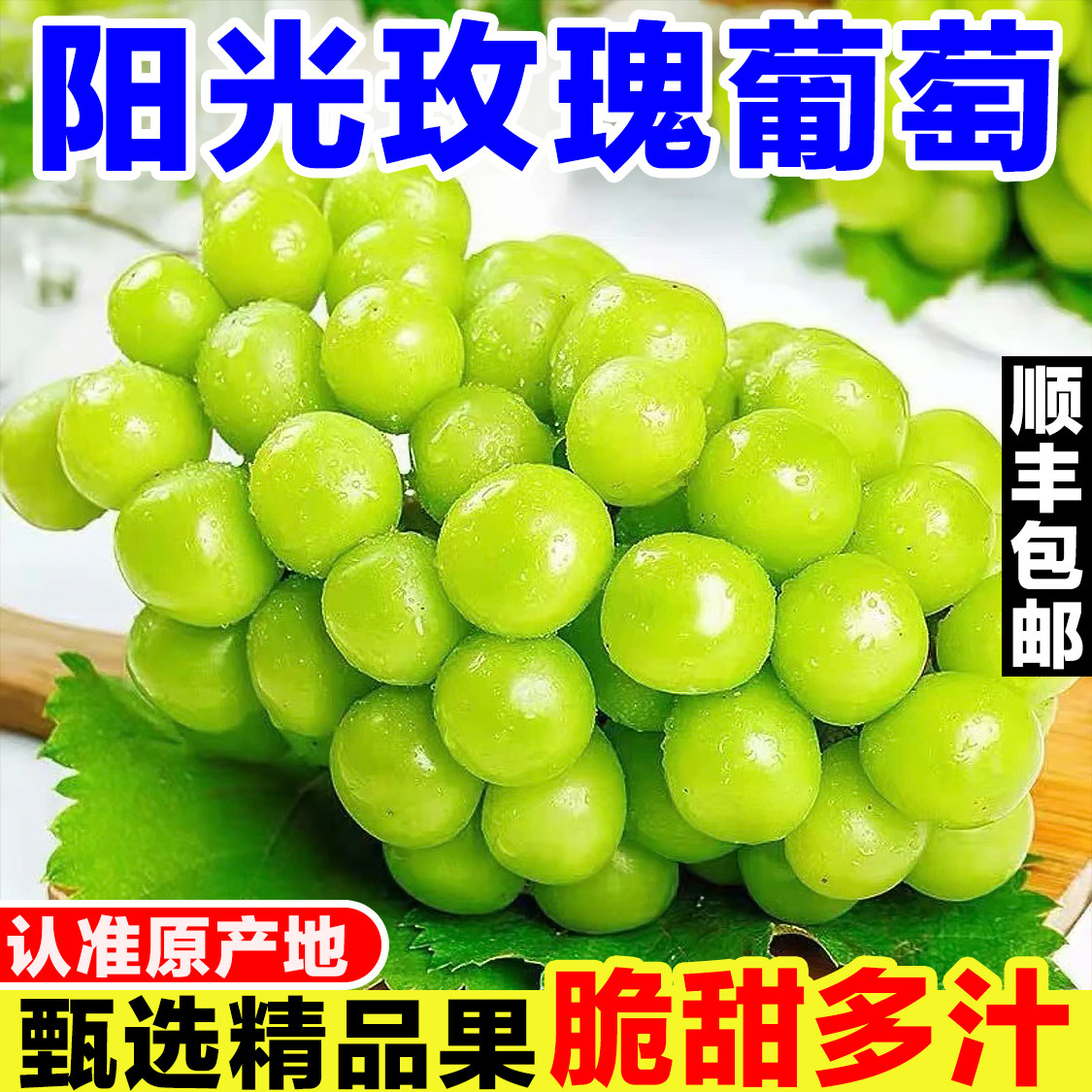 正宗阳光玫瑰葡萄新鲜当季孕妇水果现摘晴王葡萄无籽青提香印提子