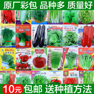 四季播庭院秋冬早春套餐蔬菜种子