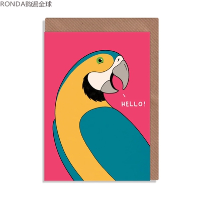 英国进口 ROBBIE PORTER A6 “你好”小卡片创意祝福贺卡带信封