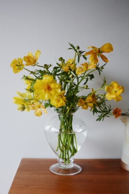 古典器型适合毛茛虞美人