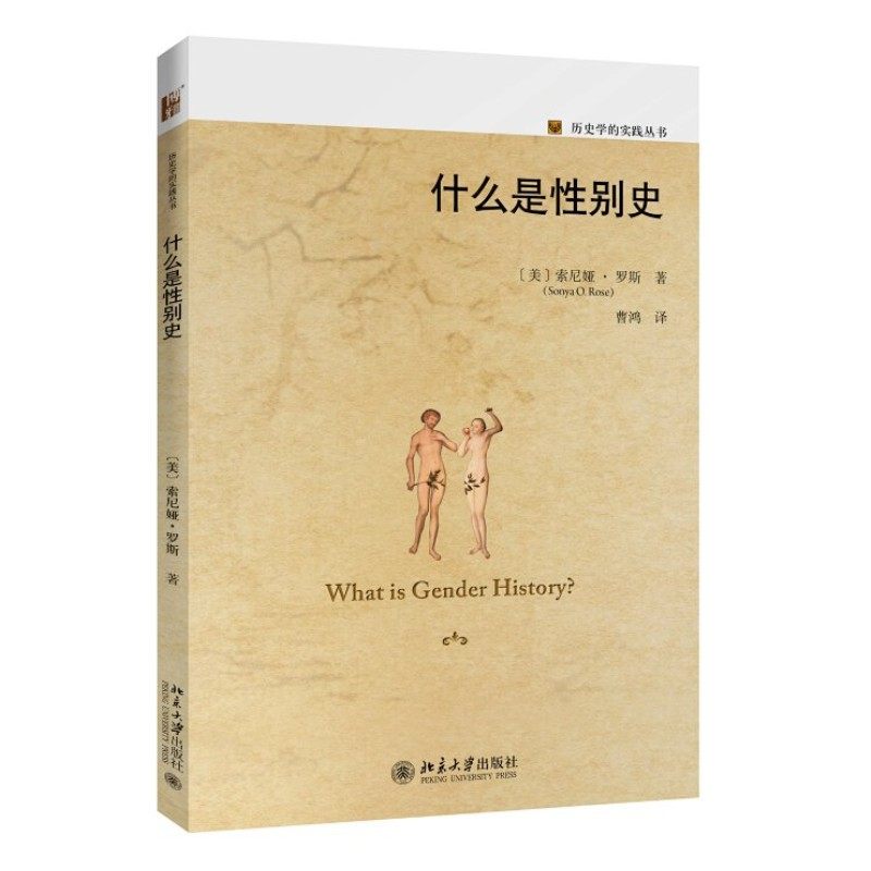 历史学的实践丛书什么是性别史[美]索尼娅·罗斯Sonya O.Rose著北京大学出版社史学理论新华书店正版图书籍_虎窝淘