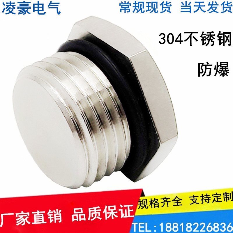 304不锈钢防爆堵头金属密封防水闷盖M20 G1/2 G3/4 NPT1/2 NPT3/4
