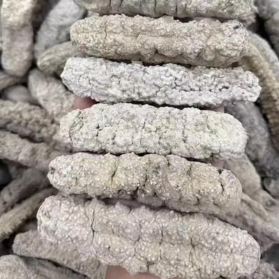 黄玉参黄肉参干货干野生海参