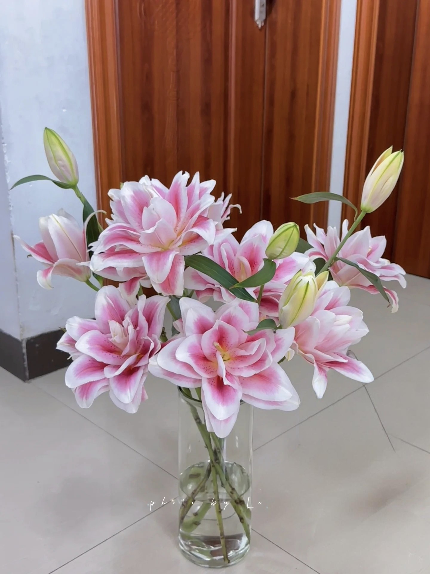 【火星之约 重瓣香水百合】中等香型云南鲜切花基地直发