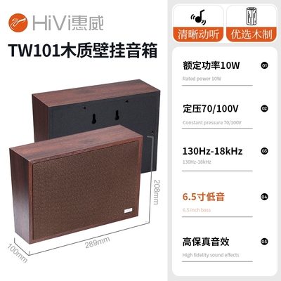 Hivi/惠威TW101防水壁挂音箱木质音响挂壁家用背景音乐喇叭