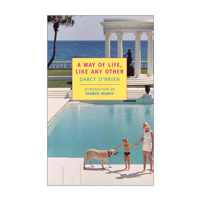 一种生活方式  英文原版 A Way of Life Like Any Other 和其他人一样 笔会/海明威奖 Darcy O'Brien 英文版 进口英语原版书籍