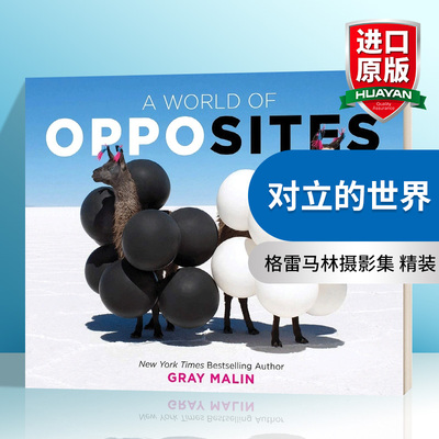 英文原版绘本 A World Of Opposites 对立的世界 精装 英文版 进口英语原版书籍