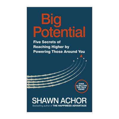 大潜能  英文原版 Big Potential 如何借助他人的力量获得成功 肖恩·埃科尔 英文版 进口英语原版书籍
