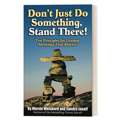 别总是做点什么 英文原版 Don't Just Do Something Stand There 就站在那里 领导重要会议的十项原则 Marvin Weisbord 英文版