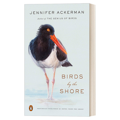 岸边的鸟类 英文原版 Birds By the Shore 观察大西洋海岸的自然生活 自然科普 Jennifer Ackerman 英文版 进口英语原版书籍