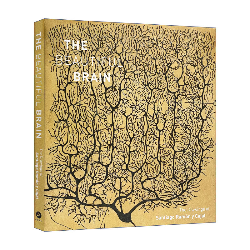 英文原版 The Beautiful Brain美丽的大脑圣地亚哥·拉蒙·卡哈尔的画作精装英文版进口英语原版书籍_虎窝淘