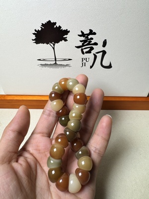 天然玉化料多宝色蒜瓣大肠菩提根手串男女文玩解压大肠手串