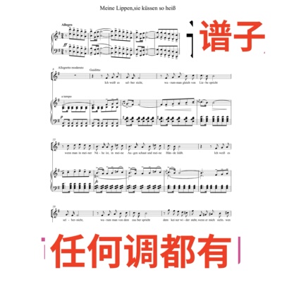 Meine Lippen sie kussen so heiss G6伴奏谱正谱声乐
