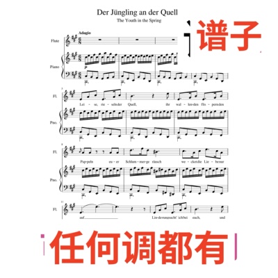 水边少年 Der Jüngling an der Quelle 2A伴奏谱正谱声乐