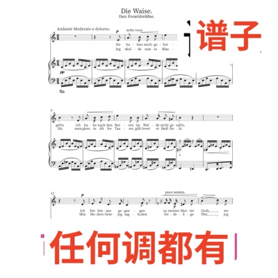 C4 Die Waise  Den ForældrelØse伴奏谱正谱声乐