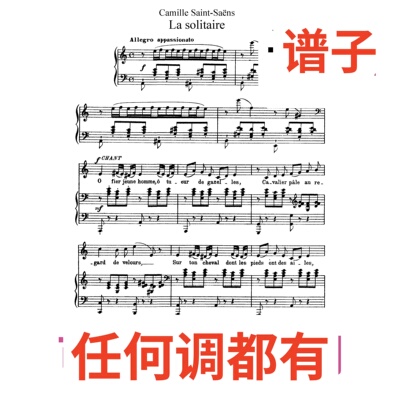 03 la solitaire 圣桑 6C伴奏谱正谱声乐