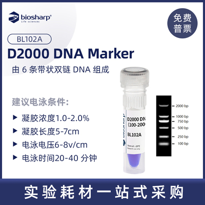 Biosharp琼脂糖凝胶电泳实验耗材