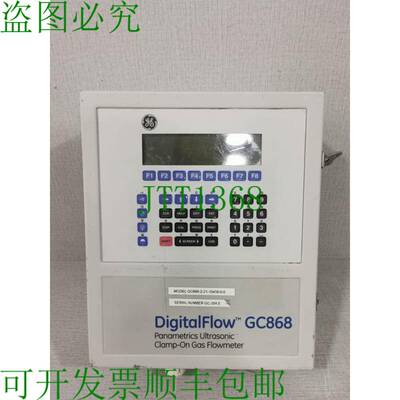 原装供应DIGITALFLOW GC868/ GC868-2-21-10416-0-0 气体流量计