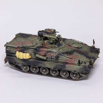 AM黄鼠狼步兵战车完成品模型