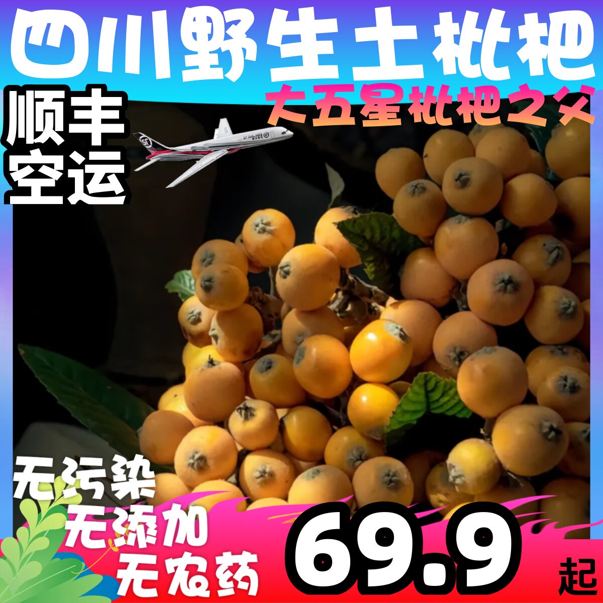 顺丰空运四川野生枇杷土琵琶新鲜时令孕妇大五星水果纯天然无污染