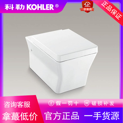 科勒马桶坐便器瑞芙挂墙式落地式隐藏水箱入墙座便器K-19037T-S-0