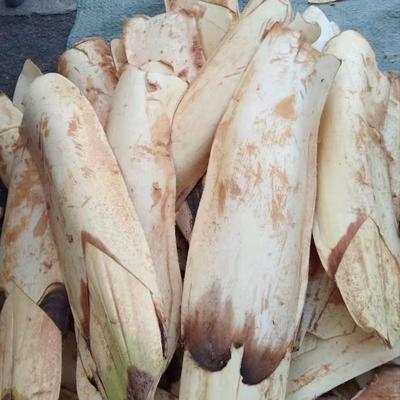 纯天然新鲜正宗蔬果现摘现发