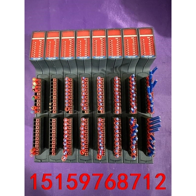 TRIO翠欧P376模块Flexslice out16n 原议价