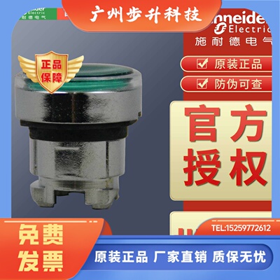 带灯平头按钮头ZB4BW313/ZB4BW333/ZB4BW343/ZB4BW353/ZB4BW363