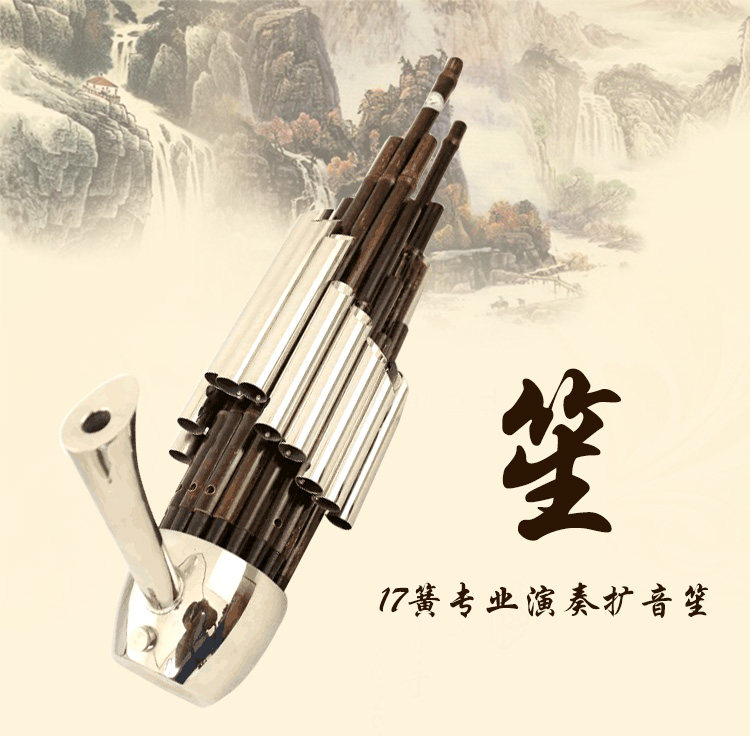 厂家直销专业精致17簧扩音笙DCFGE调笙