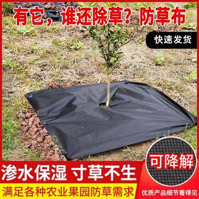 农用防草布抑草除草布农用地布果树盖草布遮草地布黑地膜打孔切片