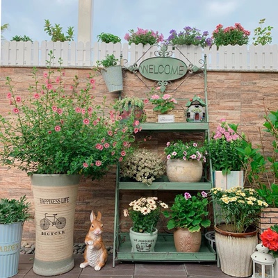 外贸白色绿色铁艺做旧可折叠多肉