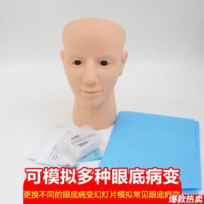 眼视网膜病变检D查模型眼底检查病变诊断技巧教具视网膜模型