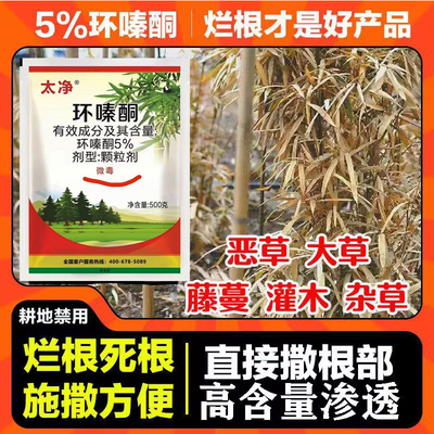 太净环嗪哃灭竹子死根剂