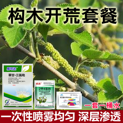 构木腐根见效快灌木拉拉藤杂草枯死药构木枯萎专用农药正品套餐