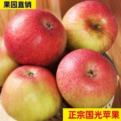 东北国光苹果酸酸甜甜脆正宗苹果