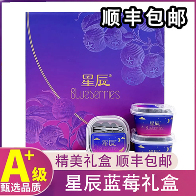 星辰云南蓝莓鲜果礼盒装顺丰包邮