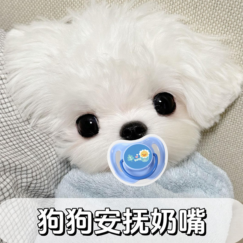 小狗奶嘴玩具宠物专用安抚幼犬玩具磨牙自嗨小型犬断奶宠物用品