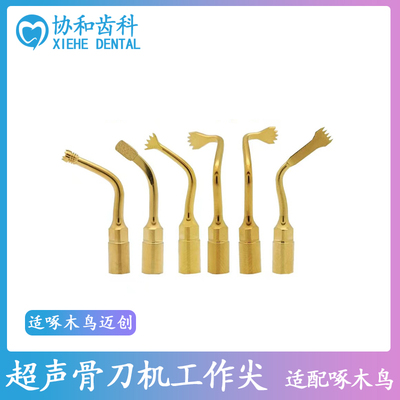 牙科骨刀机超声刀头骨刀工作尖骨刀机适配迈创啄木鸟USUC系列通用