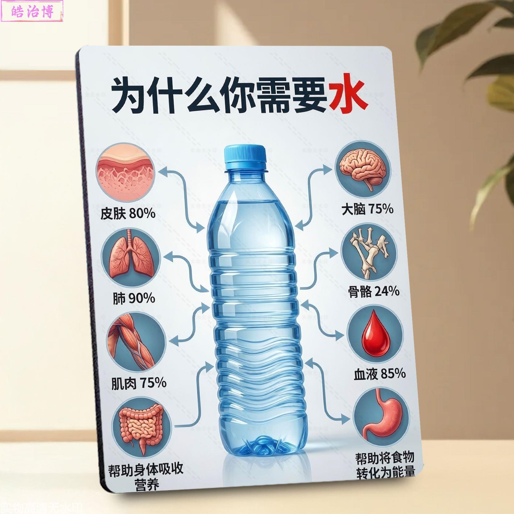 人体各器官含水量补水抗衰店展示牌相框内调养生理疗馆装饰画摆台